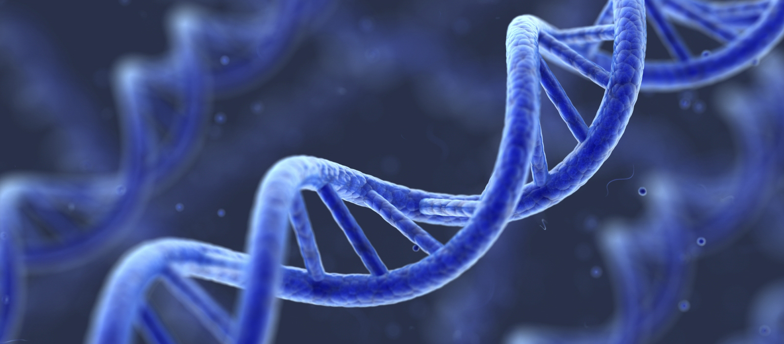 All product one day service, Biosolution – ISO 13485:2016 Certified