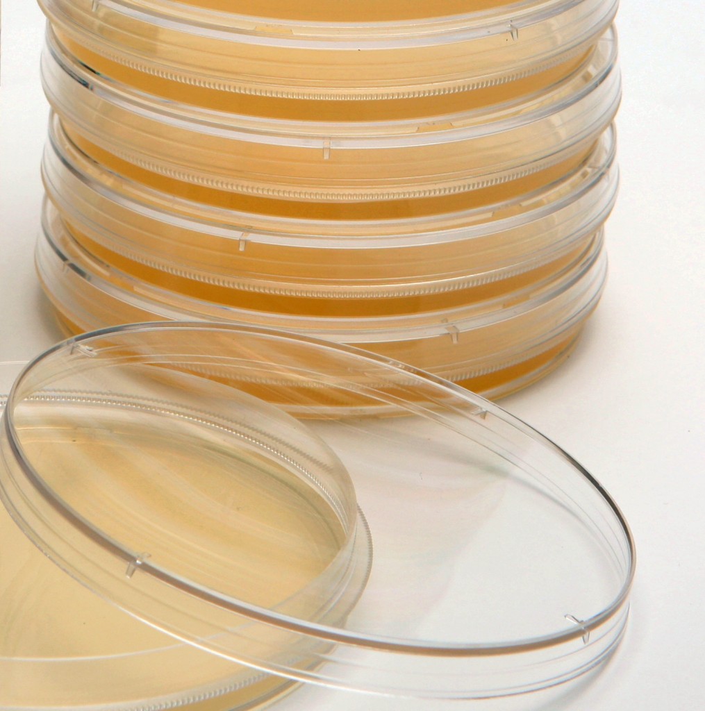 [BG210] SOC Medium – Fast & Reliable – One-Day Service for All Products!