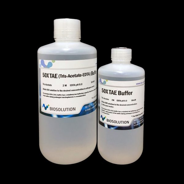 [BT002] 50X TAE Buffer – All product one day service, Biosolution
