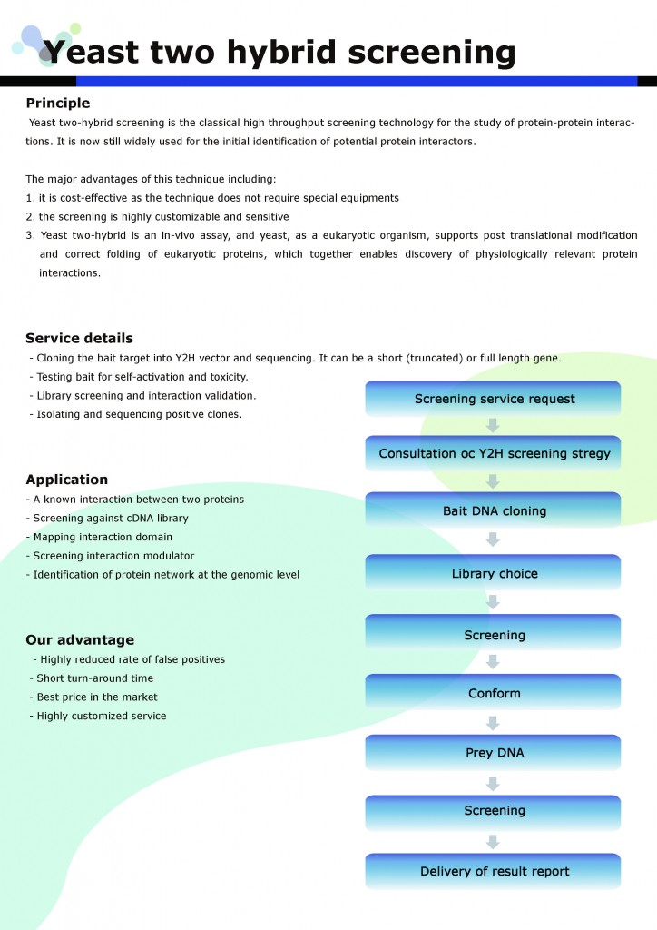 Yeast two hybrid screening | Biosolution