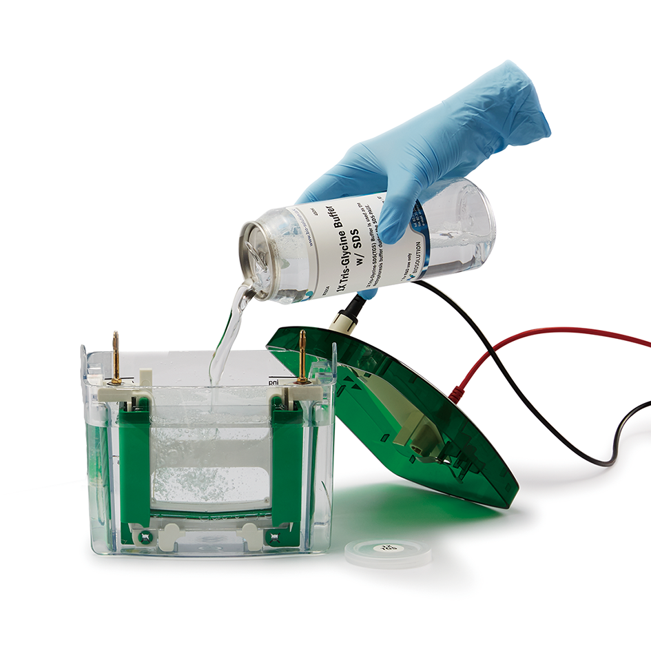 [BTC002] 1X TAE Buffer | Biosolution