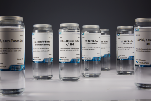 [BTC001] 1X Transfer buffer for Western Blotting – Fast & Reliable ...
